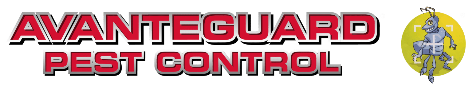Avante Guard | Pest Control Wagga Wagga | Expert Advice